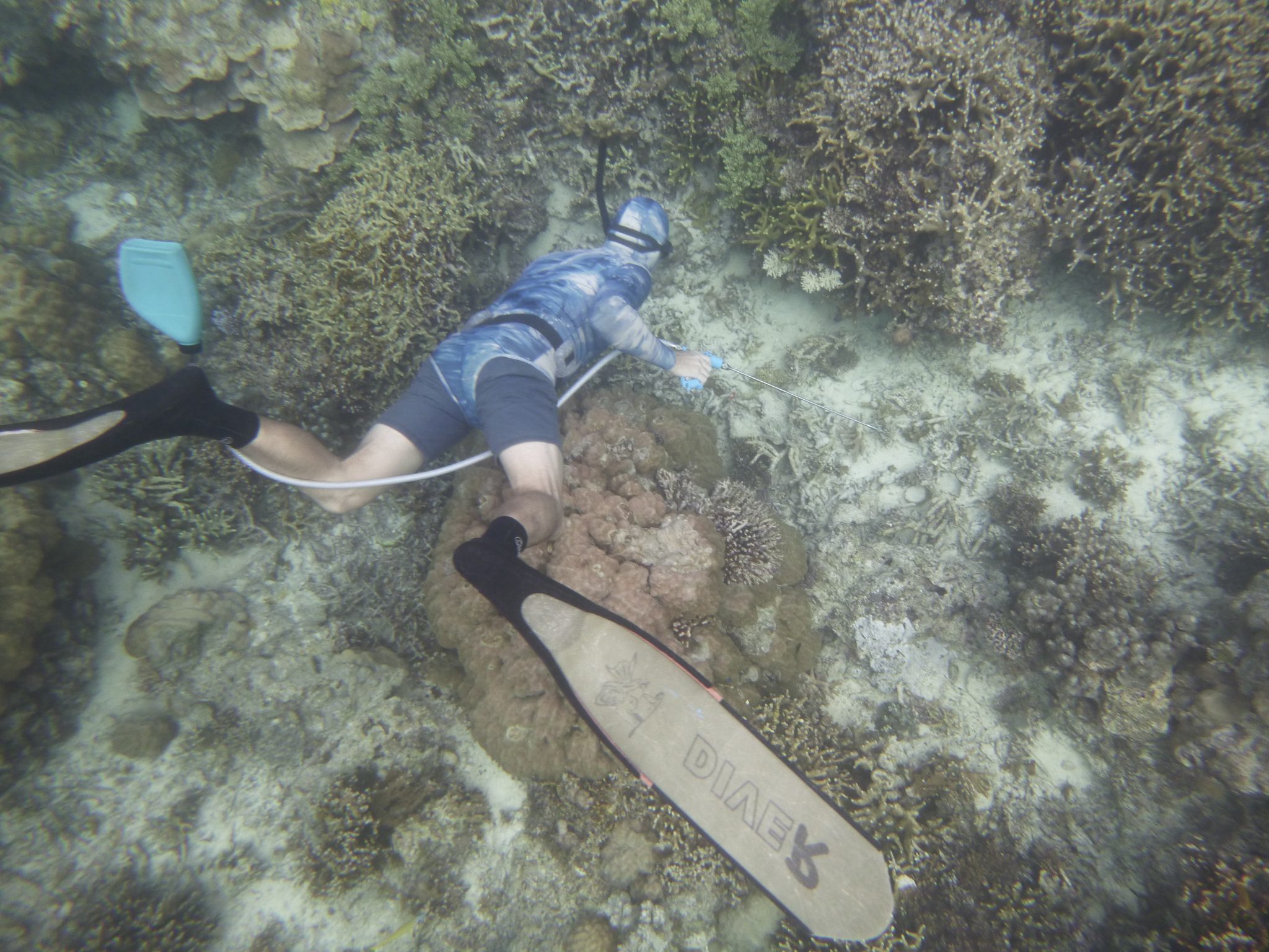 Community Marine Monitoring Toolkit - C2O Consulting