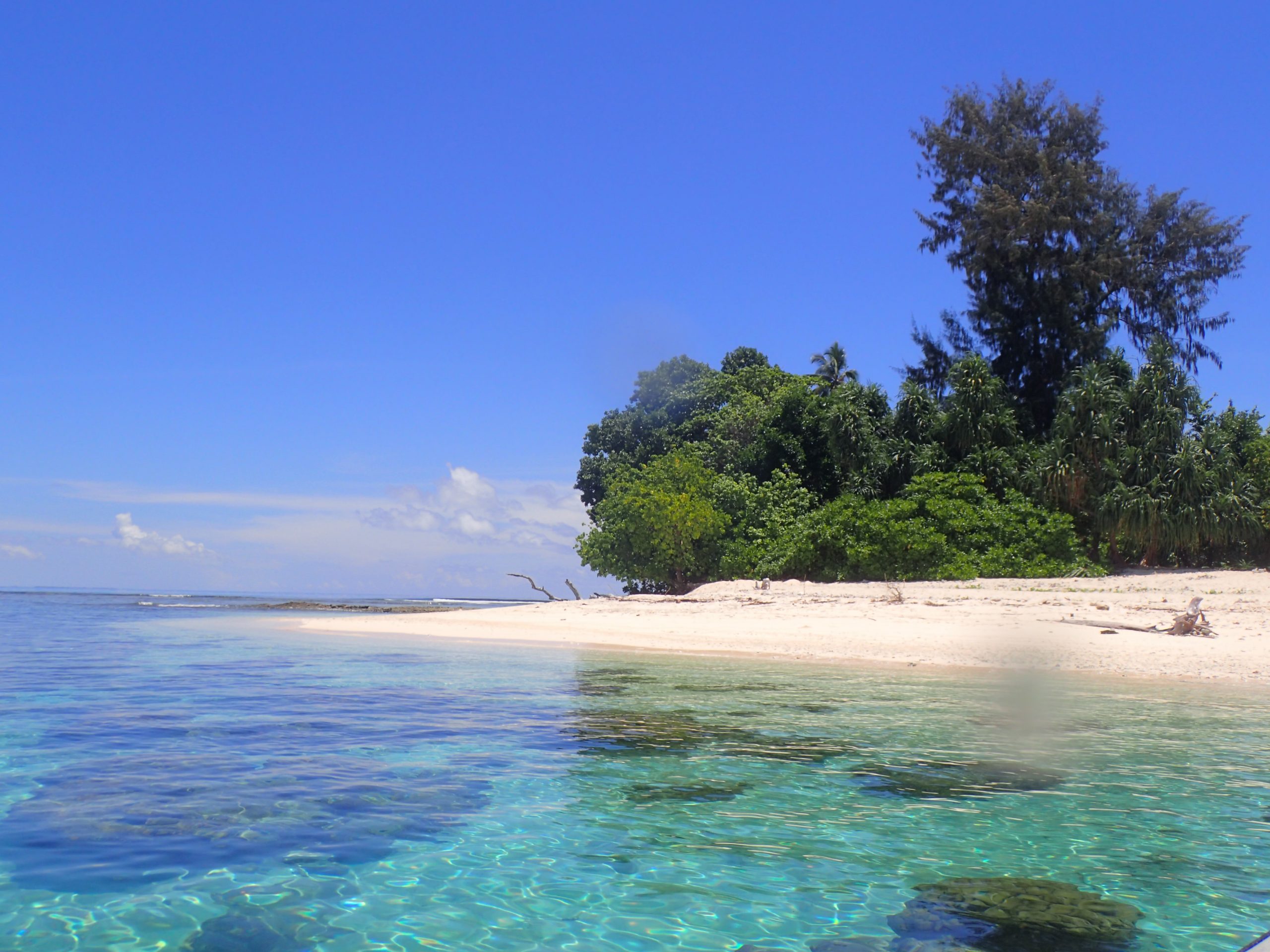 Climate change adaptation in the Pacific region - C2O Consulting