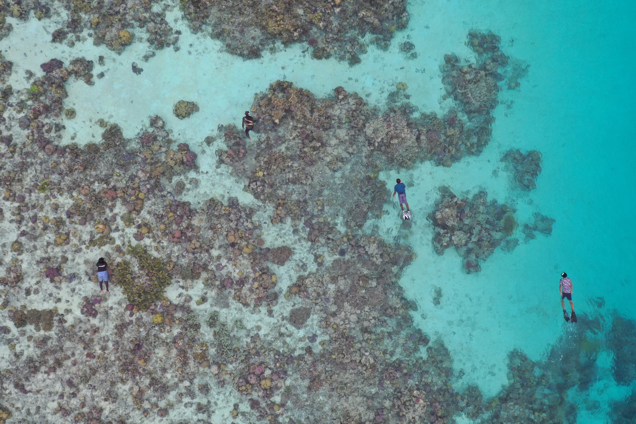 Community Marine Monitoring Toolkit - C2O Consulting